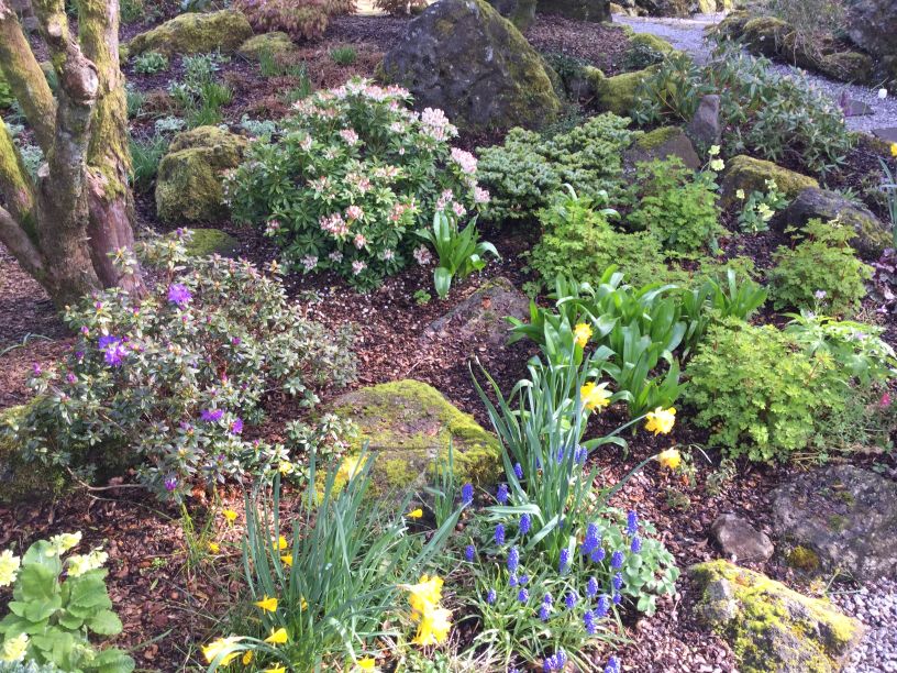 Kevock Garden Plants and Bulbs - Garden Design - Sample Whole Garden