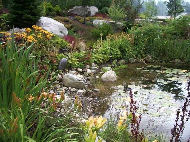 Kevock Garden Plants and Bulbs - Garden Design - Sample Wet/Bog Garden